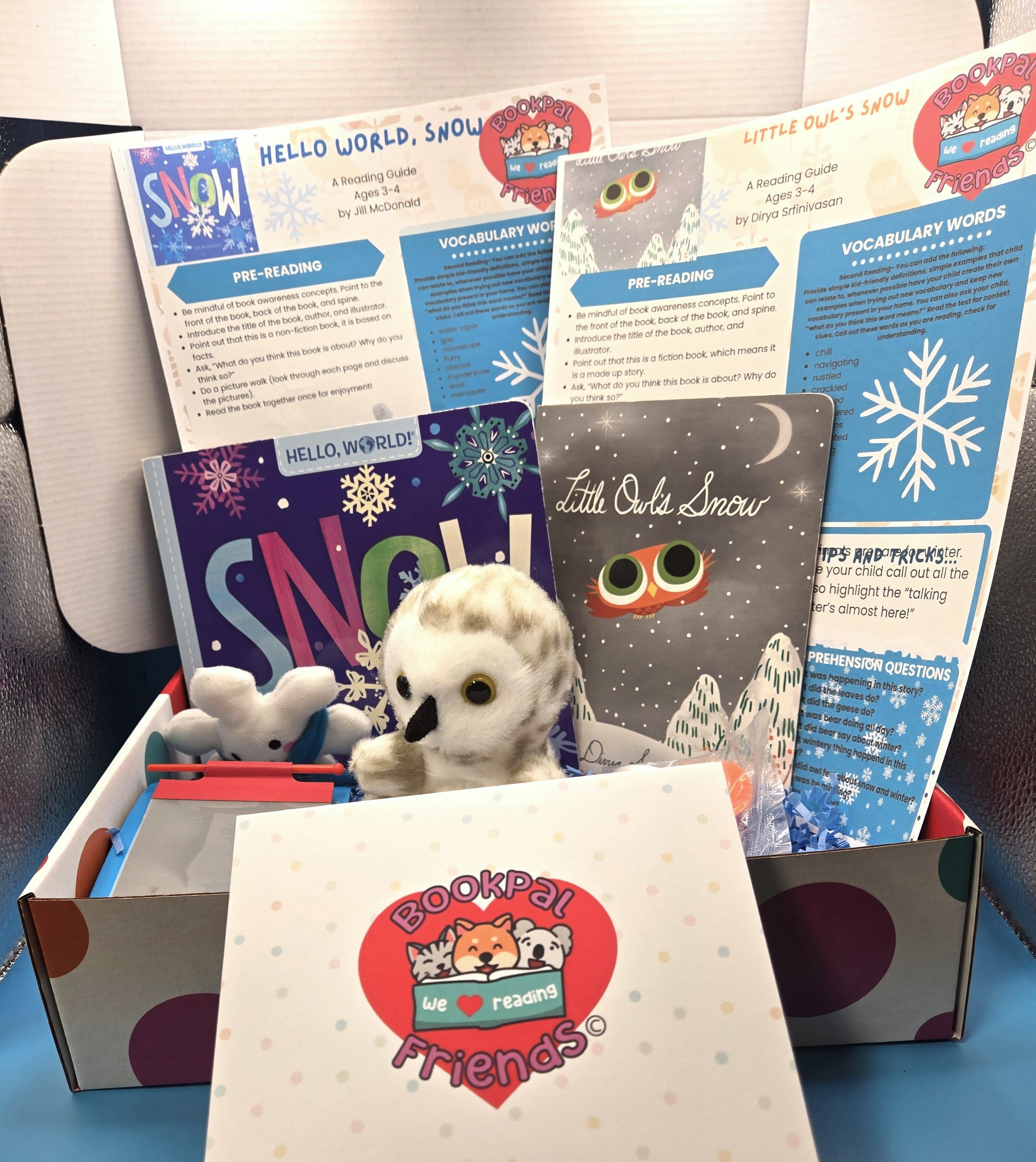 Winter Solstice Book Box: Preschoolers (3-4) – BookPal Friends